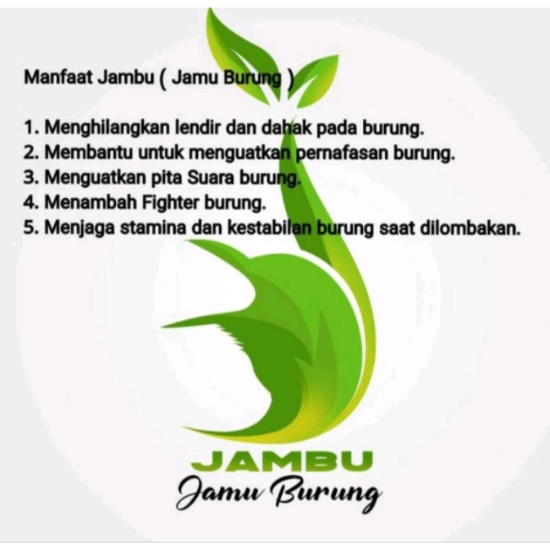 Jual JAMBU jamu burung menjaga stamina burung kicau dan mengatasi ...