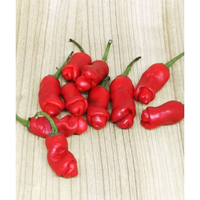 Jual Benih Cabai Unik Red Peter 7 Biji | Shopee Indonesia