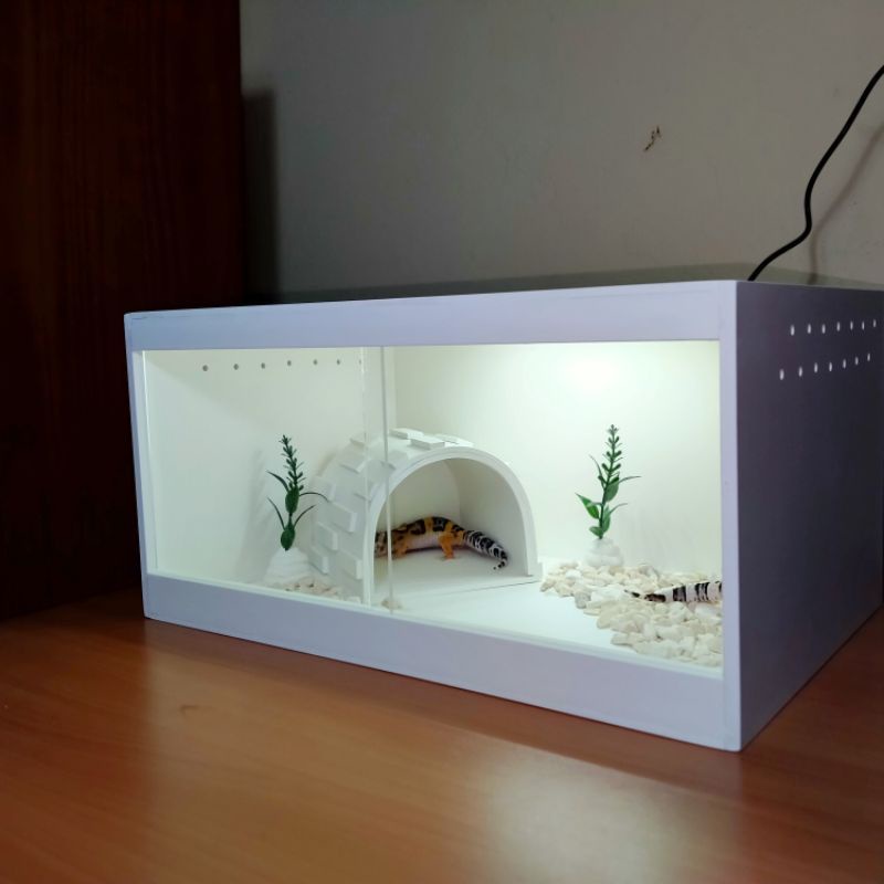 Jual Kandang Gecko Plus Hiding Cave / Kandang Akrilik Reptil | Shopee ...