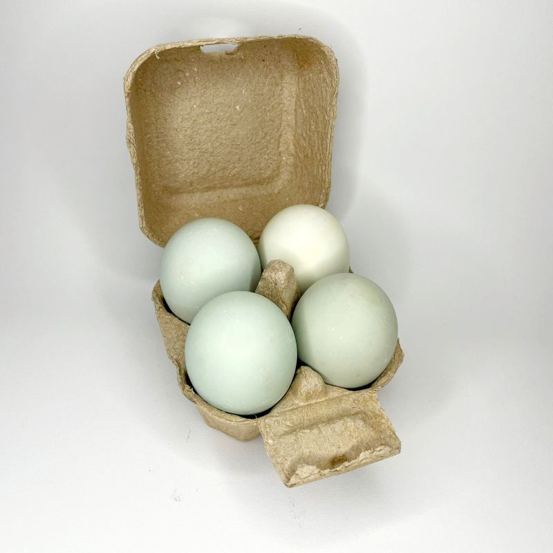 Jual Telur Bebek Terlengkap & Harga Terbaru Mei 2026 | Shopee Indonesia