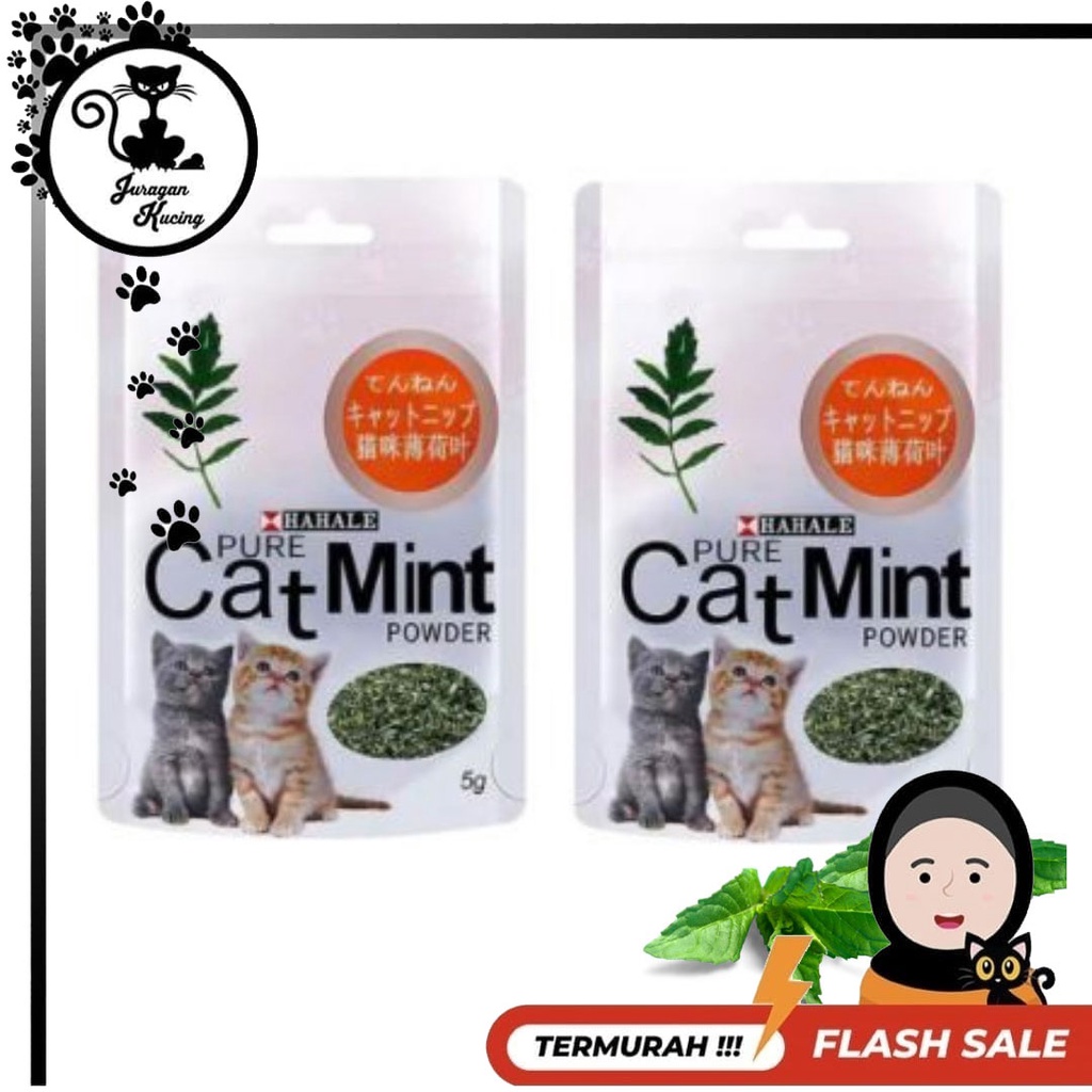 Jual Catnip Catmint Pure CAT MINT POWDER - Daun Cat Nip Kesukaan Kucing ...
