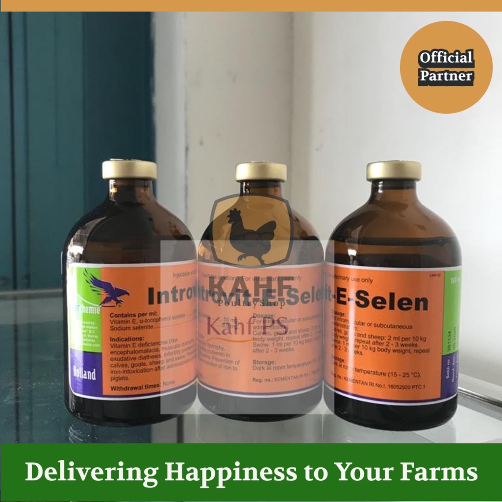 Jual INTROVIT E- SELEN Meningkatkan Daya Tahan Tubuh dan Fertilitas ...