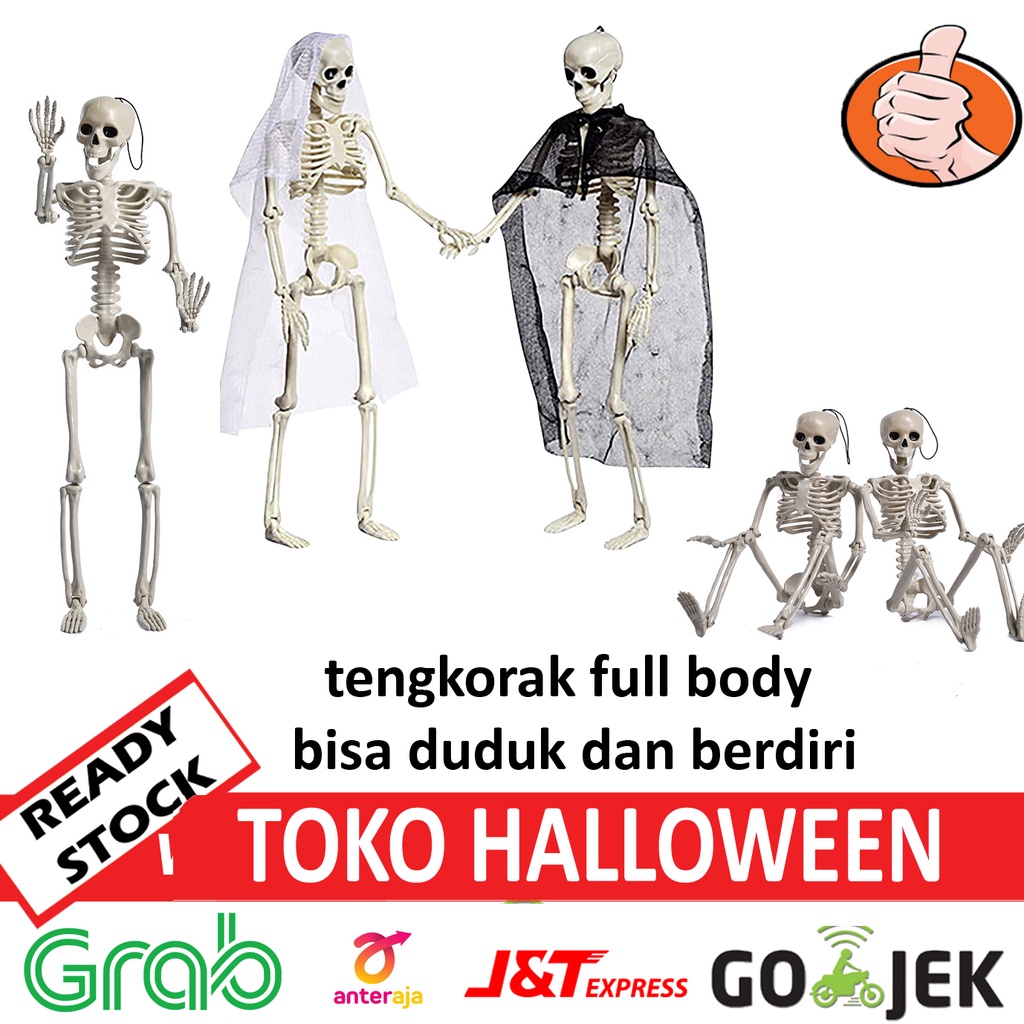 Jual skeleton tengkorak full body ukuran mini | Shopee Indonesia