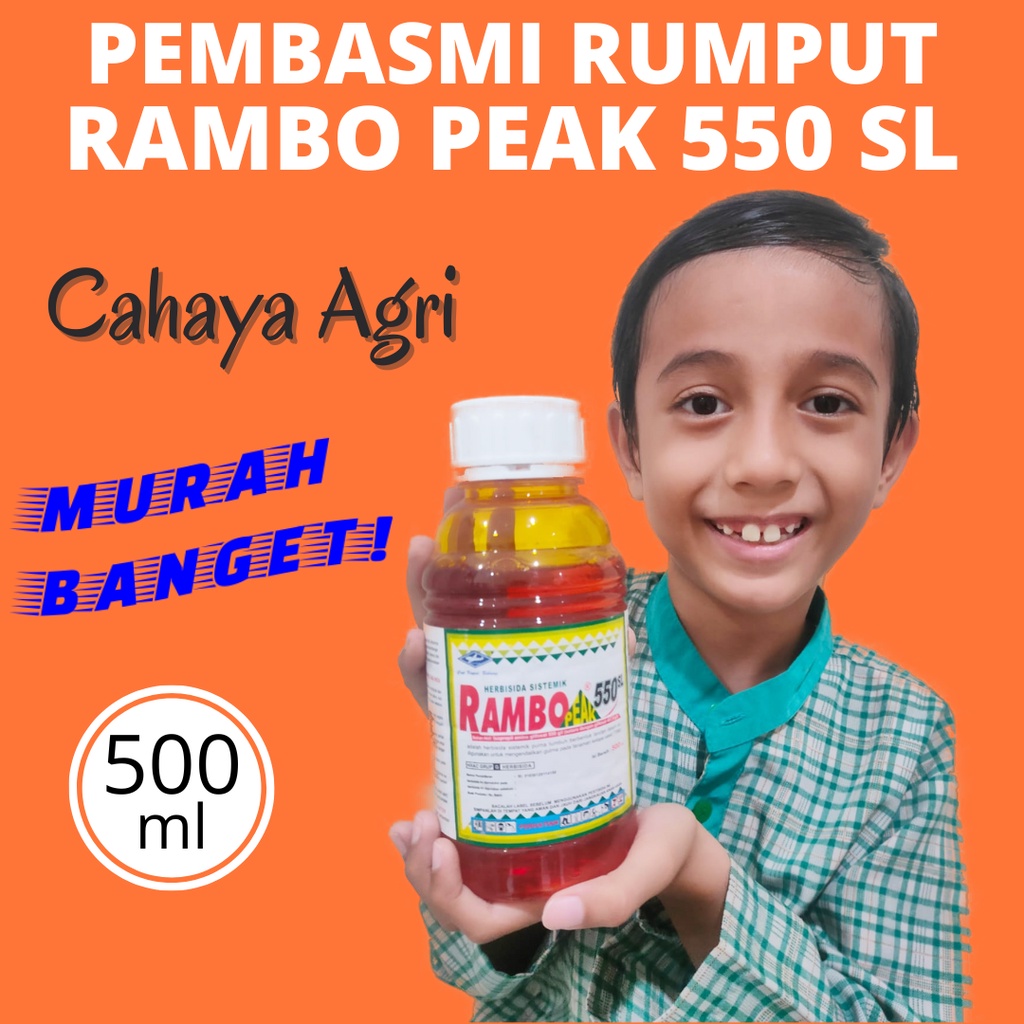 Jual CAHAYA AGRI 2 - HERBISIDA SISTEMIK - RAMBO PEAK 550 SL 500 ML ...