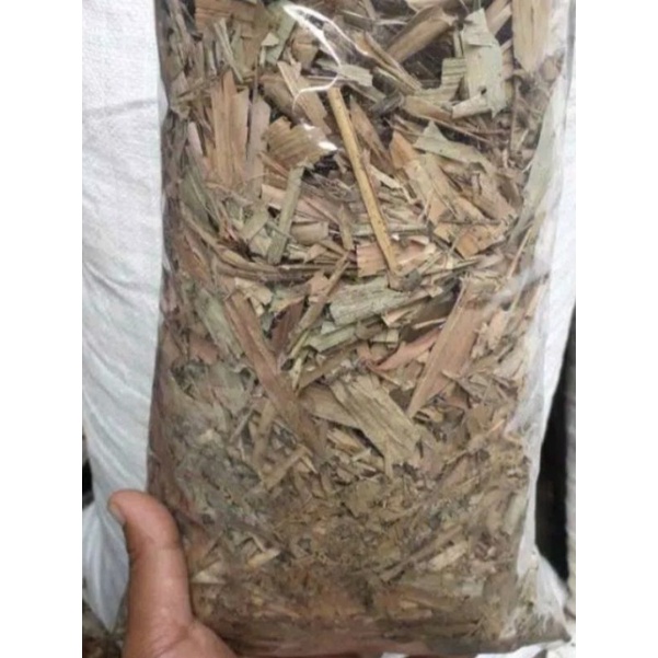Jual media tanaman daun bambu kering, humus bambu | Shopee Indonesia Jual media tanaman daun bambu kering, humus bambu | Shopee Indonesia