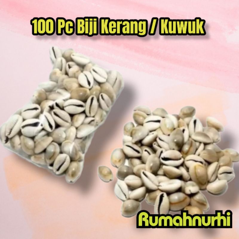 Jual 100 Pc Biji Kerang Kuwuk Asli Pelengkap Mainan Congklak | Shopee ...