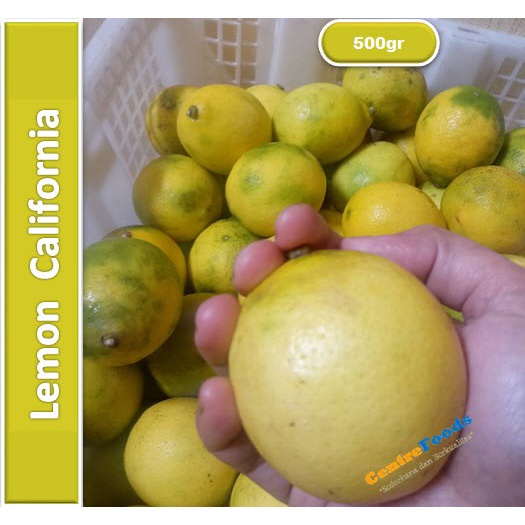 Jual Lemon California - Jeruk Lemon Fresh | 500gr [ Harga Per 0,5 Kg ...