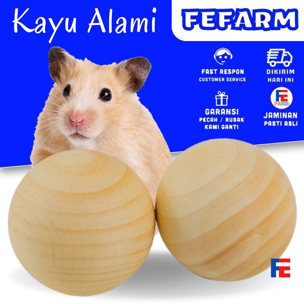 Jual Mainan Hamster Aksesoris Hamster Gigitan Hamster Gnawing Ball ...