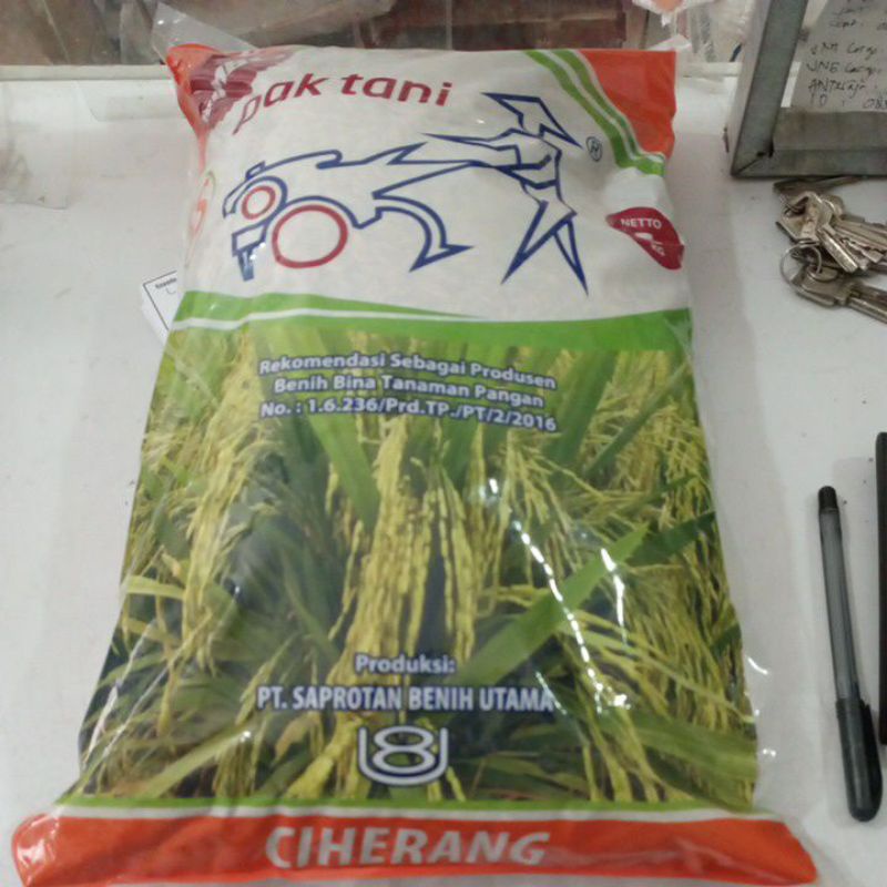 Jual benih padi CIHERANG jumbo pak tani 5kgexp 18-06-2025 | Shopee Indonesia