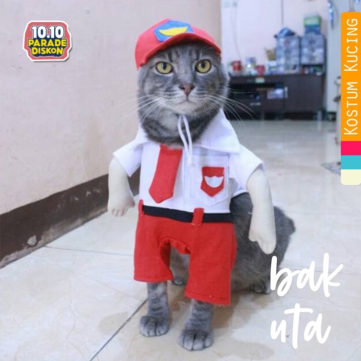 Jual Kostum anak sekolah SD untuk kucing dan anjing baju kucing size S ...