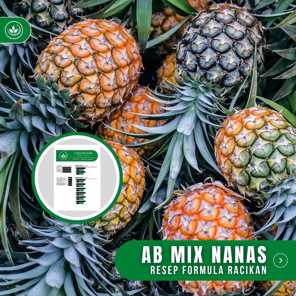 Jual Resep AB Mix Nanas Formula Racikan Nutrisi Pupuk Buah Nanas ...