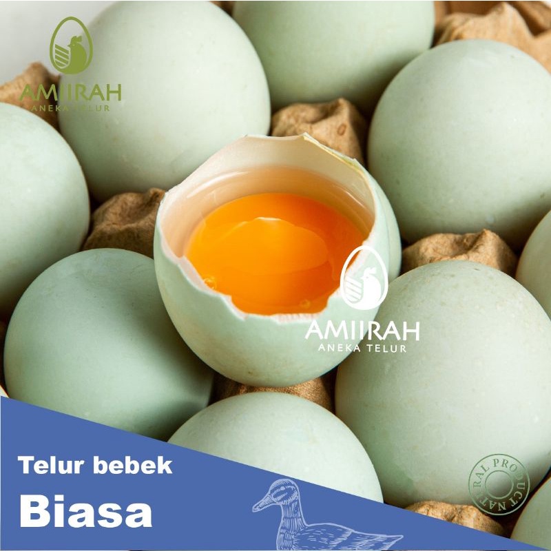 Jual telur bebek omega 3 per butir | Shopee Indonesia