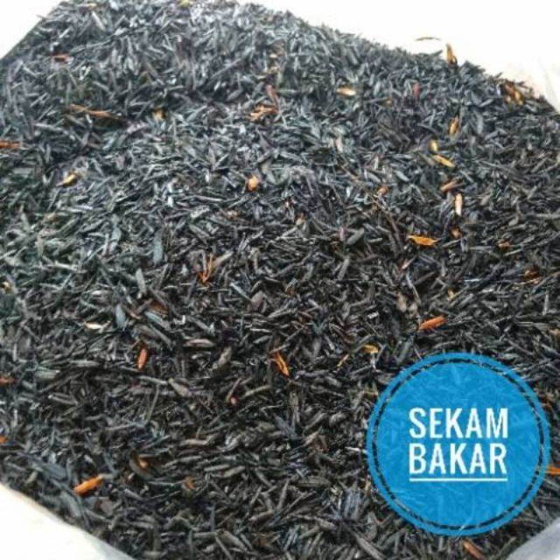 Jual SEKAM PADI ARANG KULIT PADI ORGINAL BERKUALITAS 1KG | Shopee Indonesia