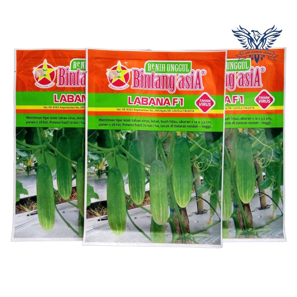 Jual Labana F1 20gr Benih Timun Bintang Asia Benlebat | Shopee Indonesia