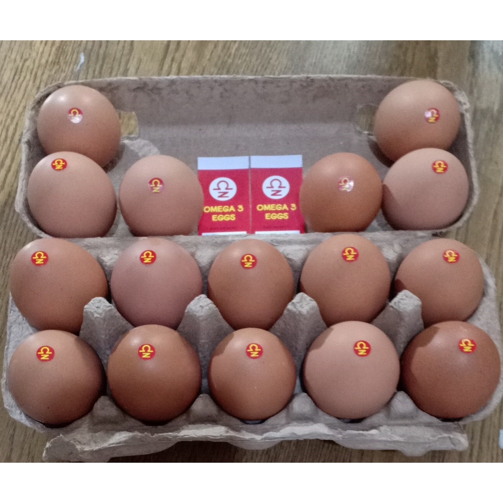 Jual Telur Ayam Omega 3 khusus Bandung Lembang Cimahi, Bersih Segar ...