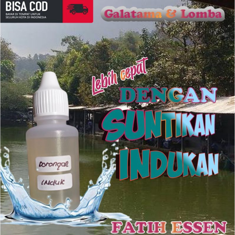 Jual ESSEN DORONGAN INDUK SODOKAN SUNTIKAN IKAN BABON | Shopee Indonesia