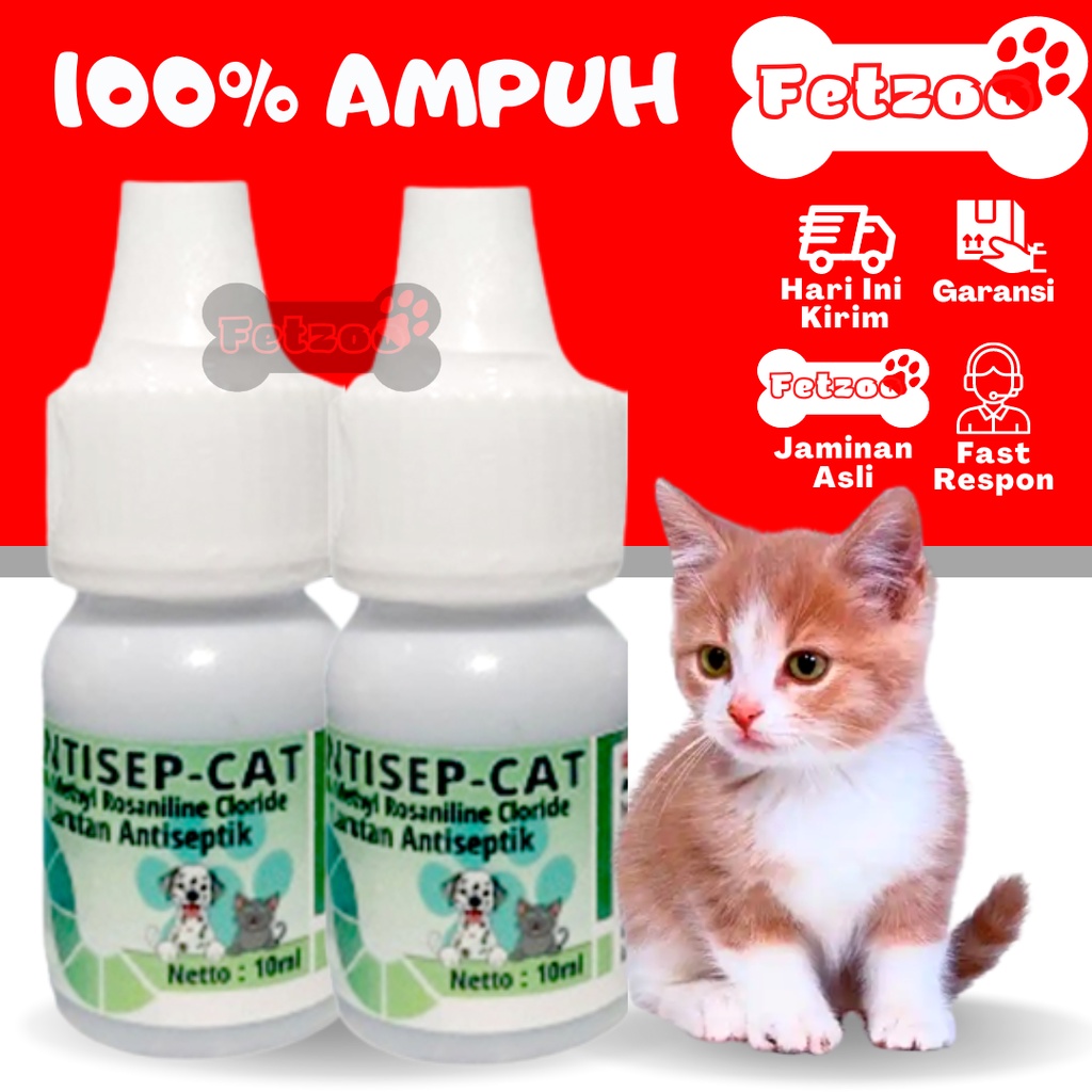 Jual Obat Calici Sariawan Kucing Gusi Berdarah Mulut Kucing Bau Tidak ...