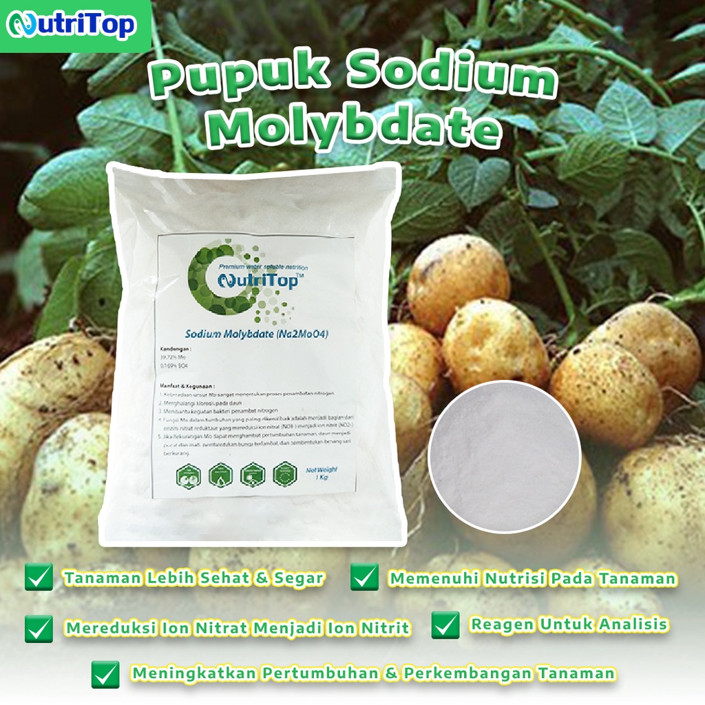Jual Sodium Molybdate (Na2MoO4) 1 kg | Shopee Indonesia
