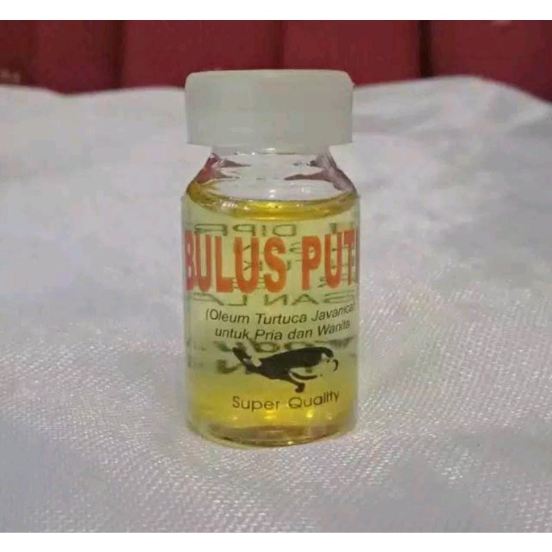 Jual MINYAK BULUS ORIGINAL / MINYAK BULUS PUTIH ORIGINAL | Shopee Indonesia
