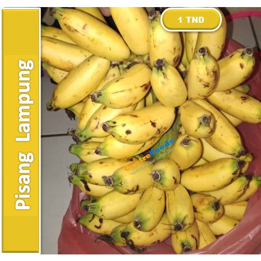 Jual Buah Pisang Lampung - Pisang Muli Fresh | 1 Tandan [ Harga Per TDN ...