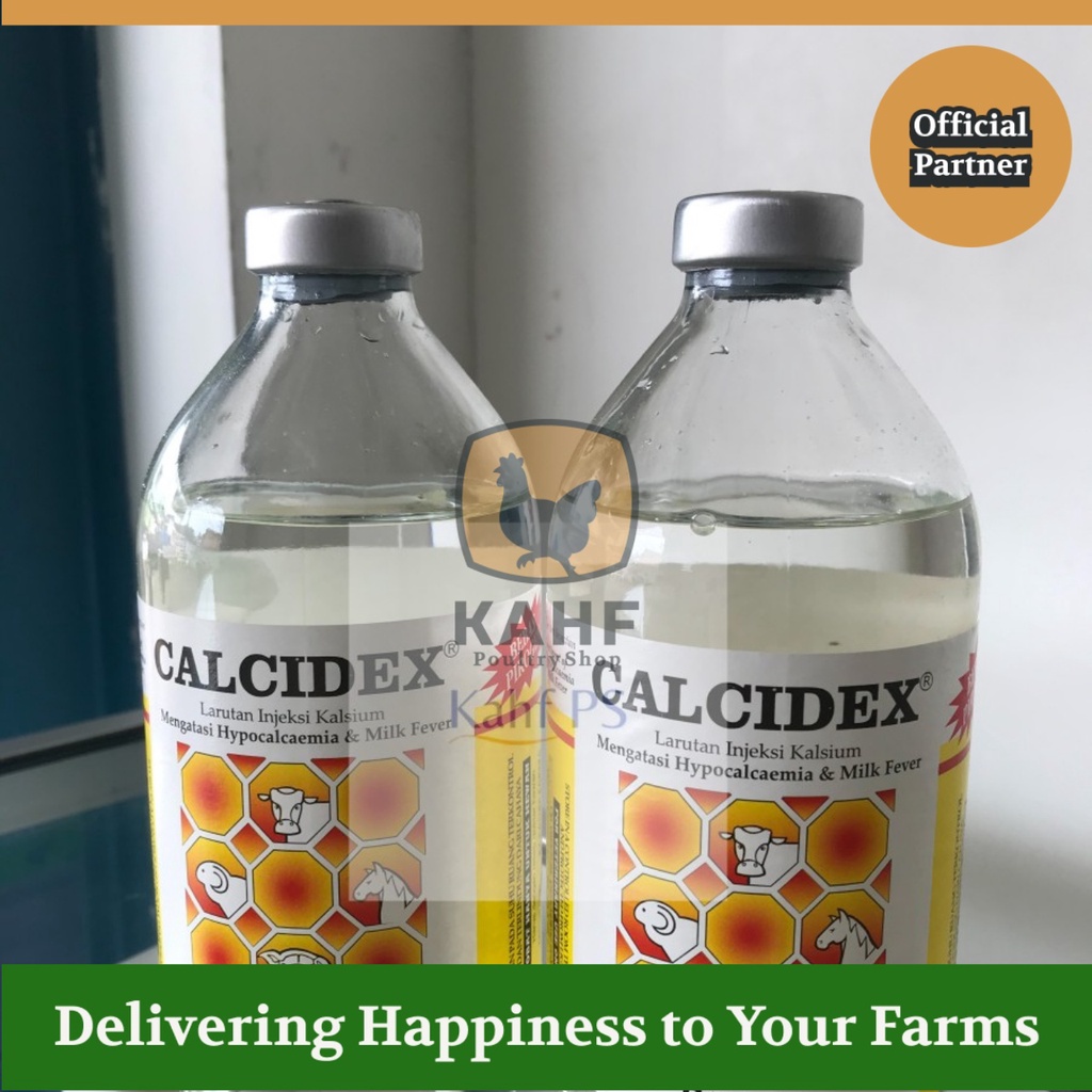 Jual Calcidex 500 ml Larutan Injeksi Kalsium Sapi Kambing Kuda | Shopee ...