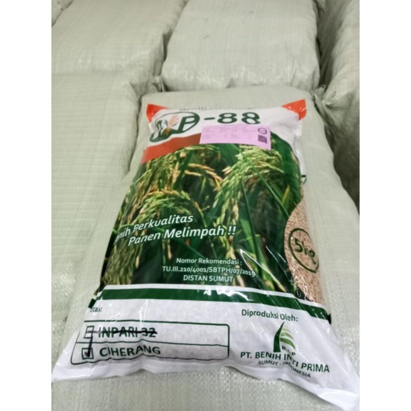 Jual Benih Padi unggul ukuran 5 kg | Shopee Indonesia
