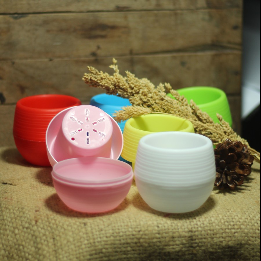 Jual pot warna warna pot plastik bentuk bola mini tanaman kaktus ...