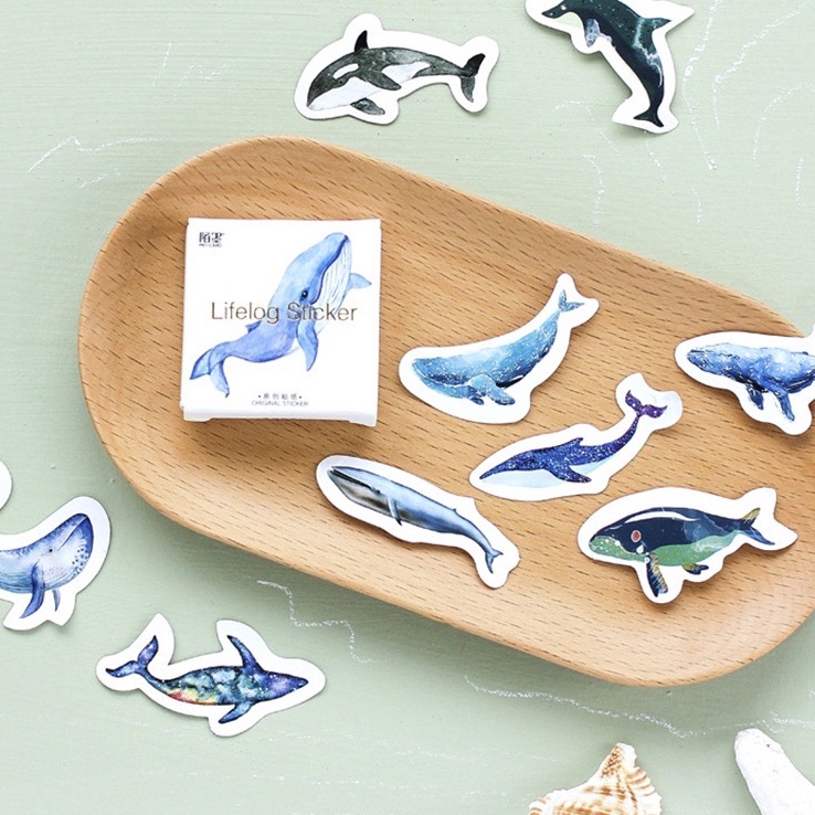 Jual Stiker Scrapbook Sticker Bujo Lucu Whale Paus (45 pcs) | Shopee ...