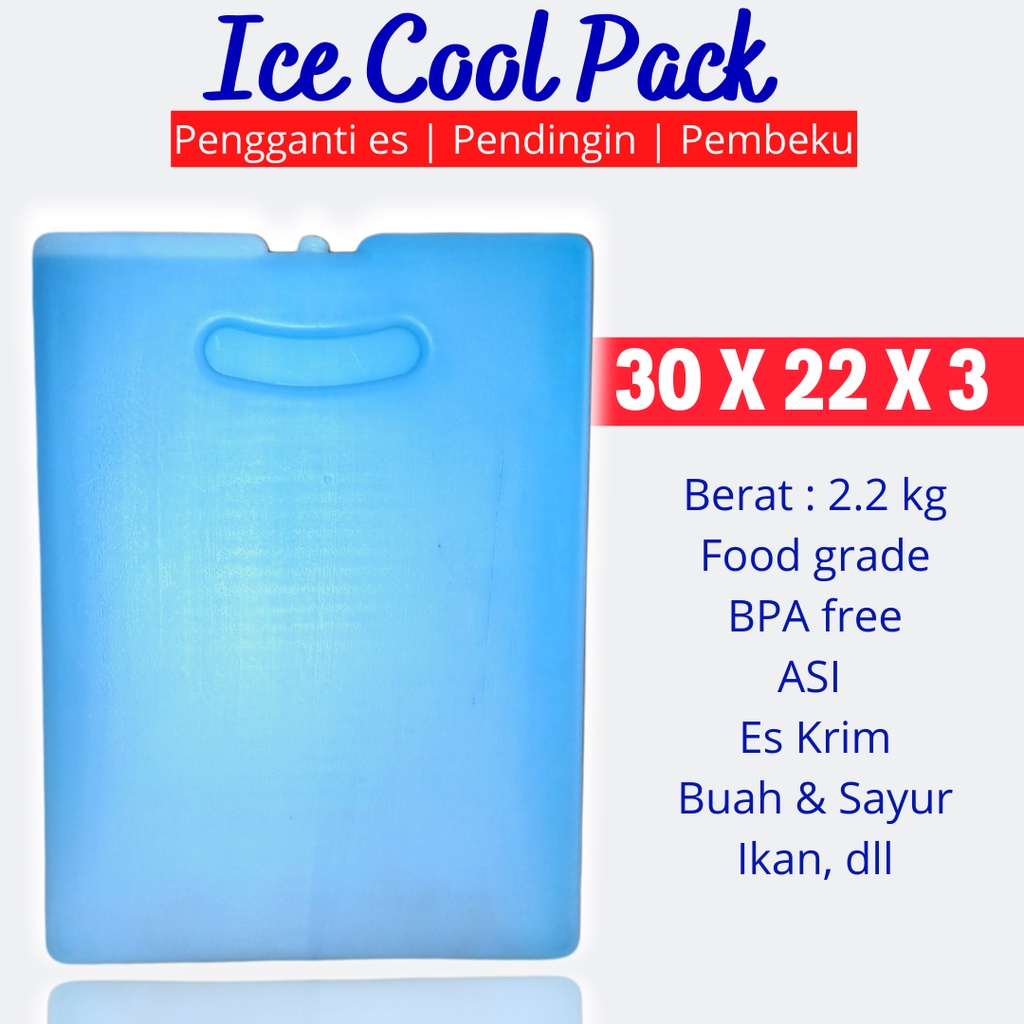 Jual ICE COOL BESAR / ICE PACK BESAR / BLUE ICE PACK - PENDINGIN ES ...