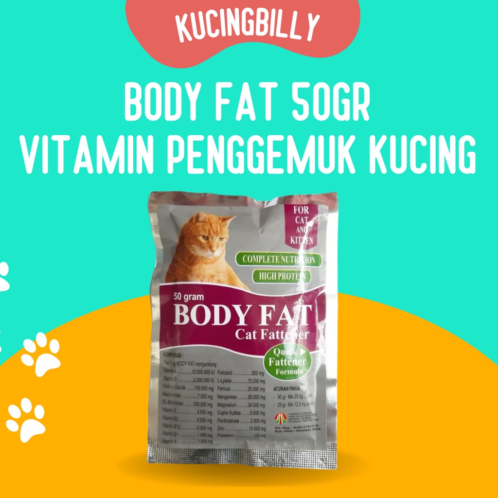 Jual Bodyfat 50gr vitamin suplemen penggemuk kucing body fat | Shopee ...