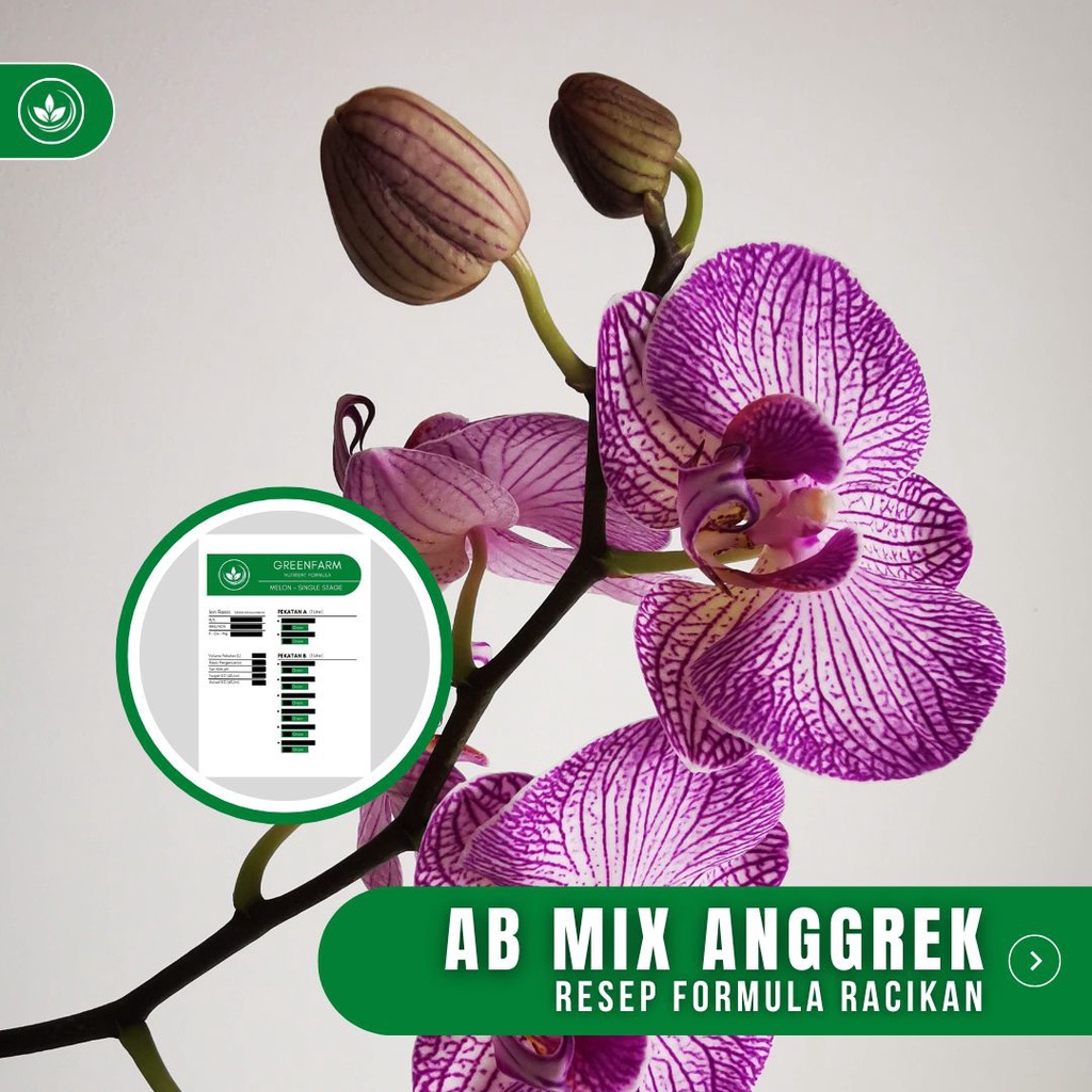 Jual Resep AB Mix Anggrek Formula Racikan Nutrisi AB Mix Bunga Anggrek ...