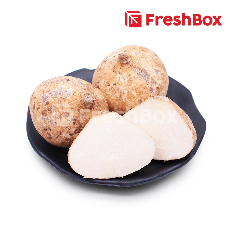 Jual Bengkoang 900gr - 1kg FreshBox | Shopee Indonesia