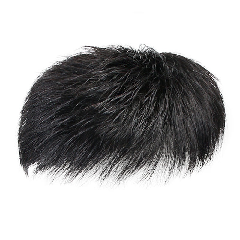 Jual Wig pria rambut pendek klasik mode rambut tampan inci gaya rambut ...