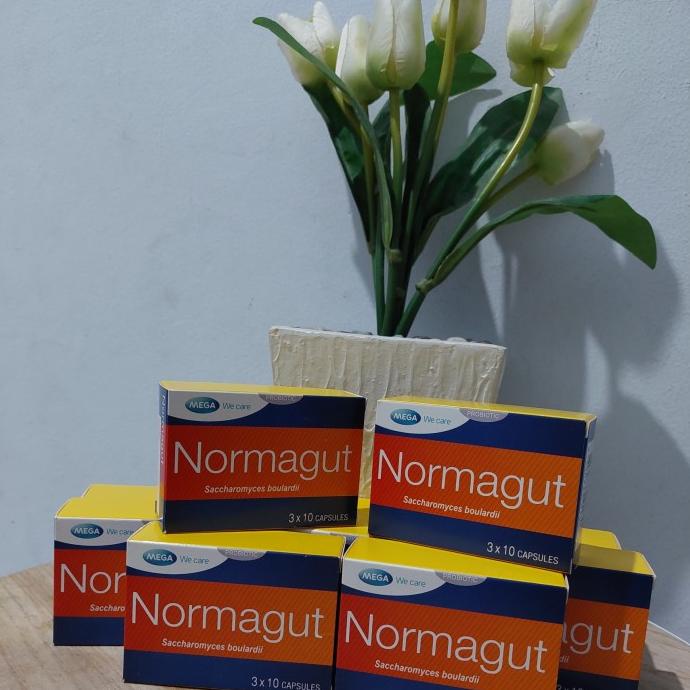 Jual normagut isi 30 capsul | Shopee Indonesia