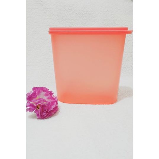 Jual TUPPERWARE SMART SAVER OVAL 1,7 LT PEACH(GUAVA) | Shopee Indonesia