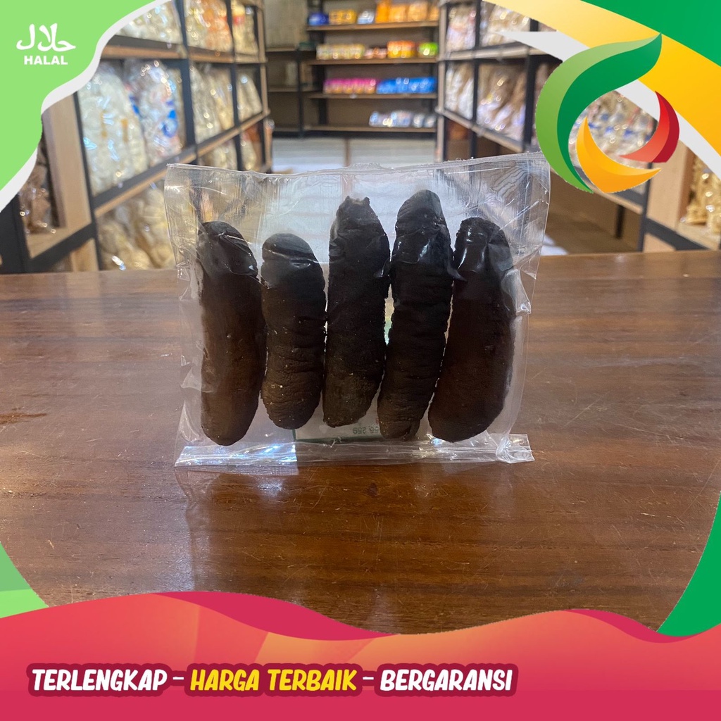 Jual TRIPANG KERING KHAS BANGKA | Shopee Indonesia