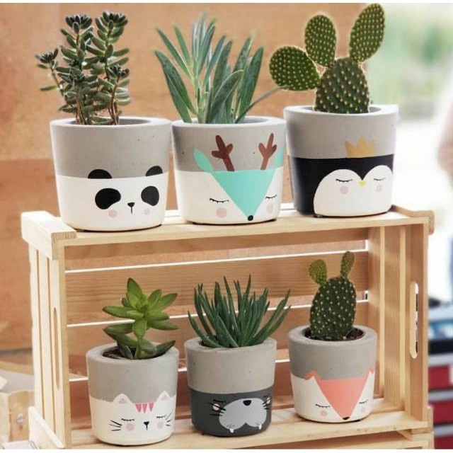Jual Paket Pot Lukis Animal Claypot 8 cm Tanaman Kaktus Sekulen Pot ...