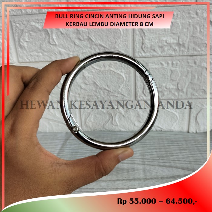 Jual Bull Ring Cincin Anting Hidung Sapi Kerbau Lembu Bahan Stainless ...