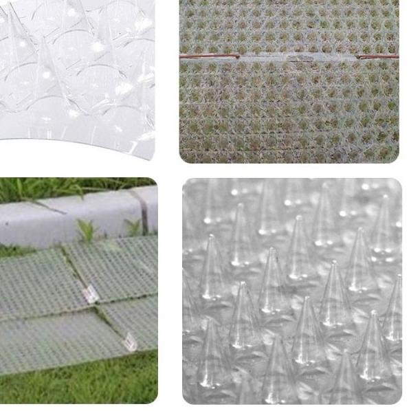 Jual ALAT PENGUSIR KUCING ANJING/ PAKU PAGAR DINDING PELINDUNG ANTI ...