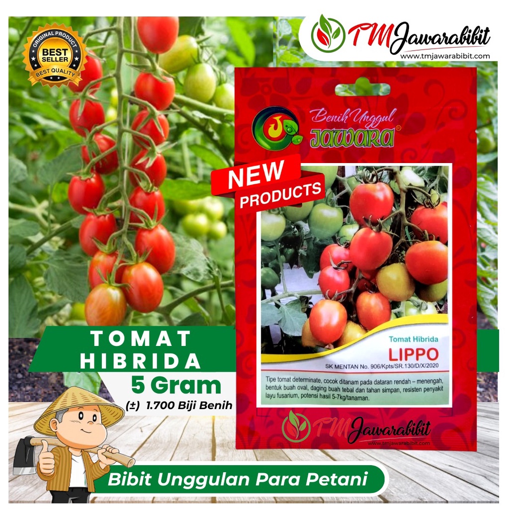 Jual NEW PRODUK BENIH TOMAT LIPPO ISI 5 GRAM || PRODUK ASLI JAWARA ...