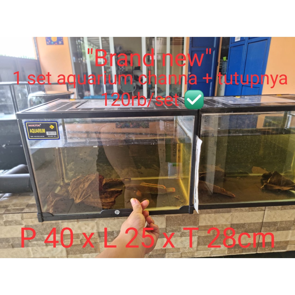 Jual NIKITA AQUARIUM CHANNA SET LENGKAP DENGAN TUTUP 40 25 28 VENUS | Shopee Indonesia
