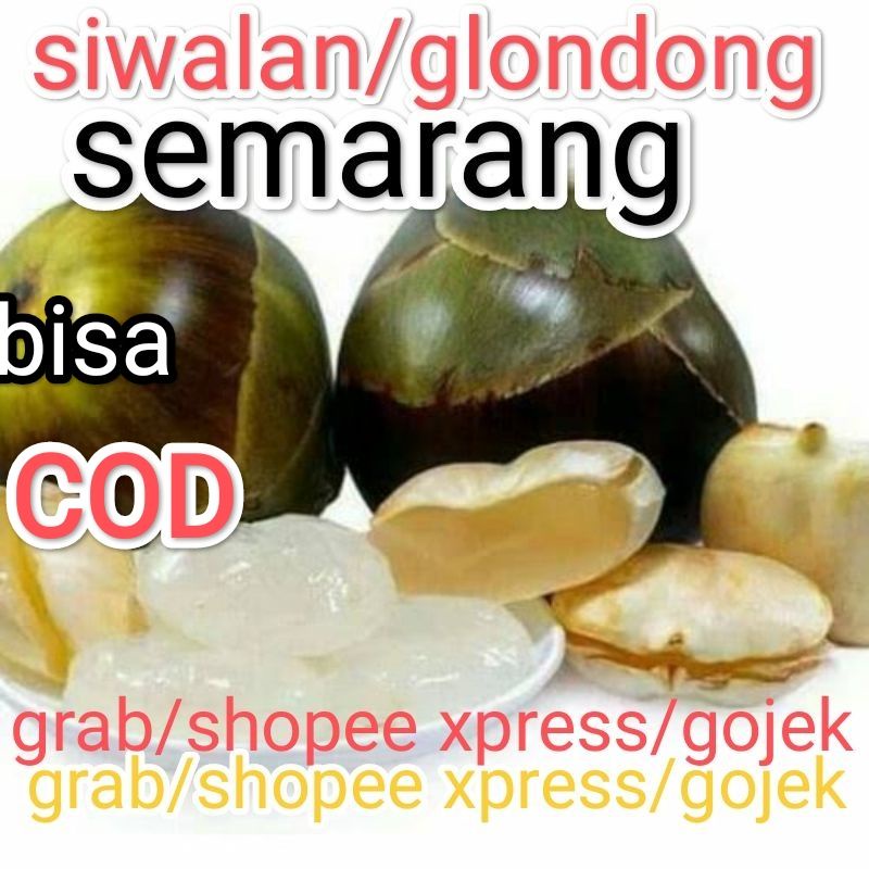 Jual buah siwalan utuh satu isi 3 semarang | Shopee Indonesia