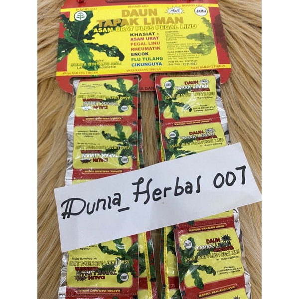 Jual Daun tapak liman merah | Shopee Indonesia
