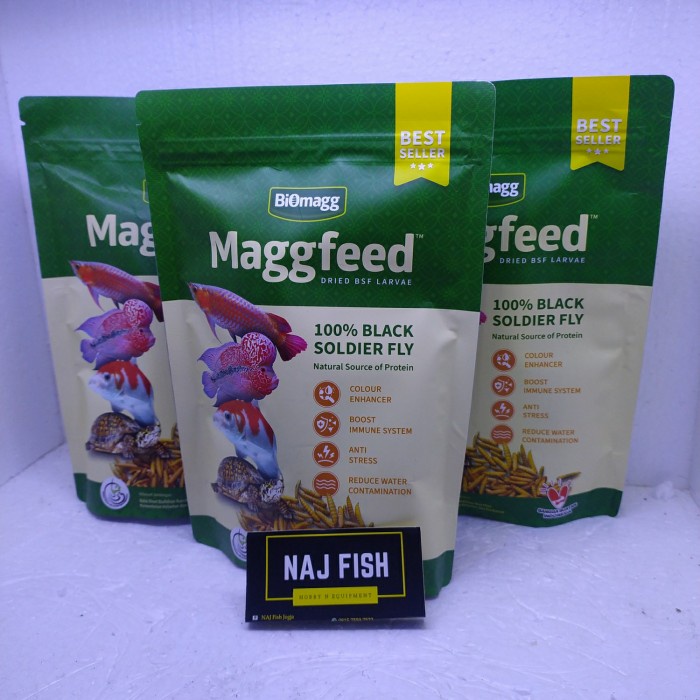 Jual Maggfeed Pakan Ikan Kesayangan Berprotein Tinggi Buat ikan Makin ...