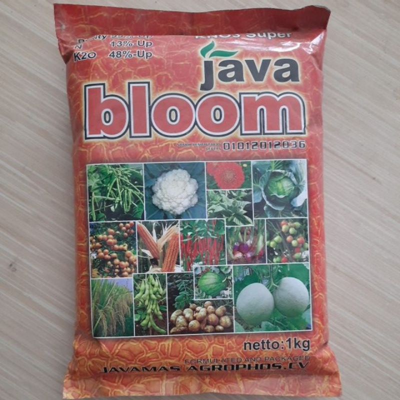 Jual Pupuk KNO3 Super JAVA BLOOM 1 KG | Shopee Indonesia
