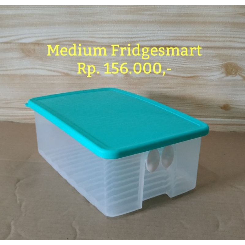 Jual Medium Fridgesmart Tupperware / wadah buah dikulkas | Shopee Indonesia