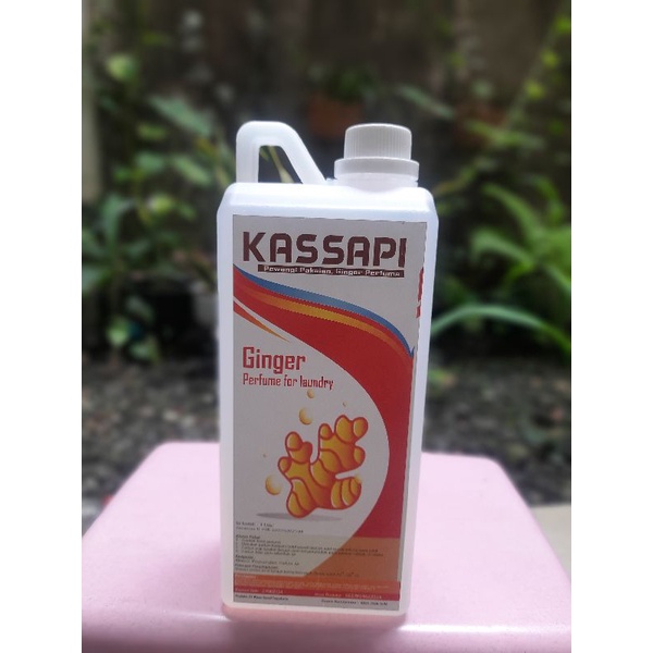 Jual GINGER pewangi baju kassapi Parfum / parfume Laundry 1 Liter untuk ...