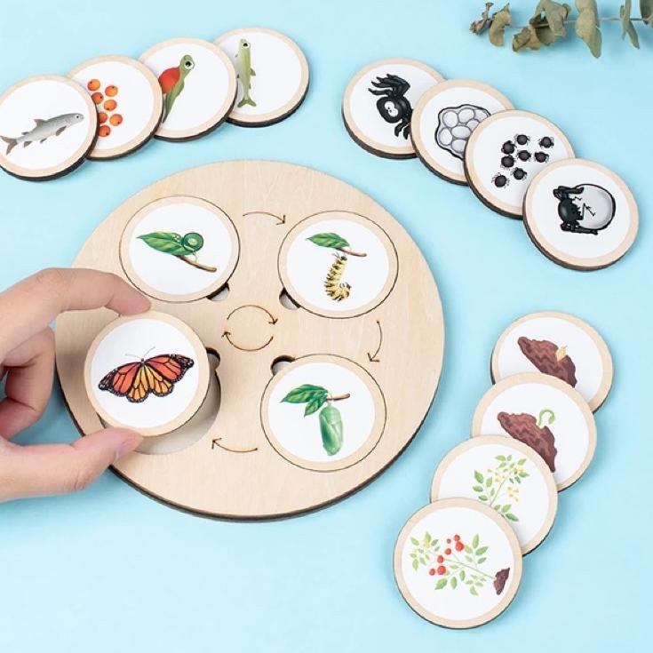 Jual wooden montessori life cycle board set mainan pengenalan lingkaran ...