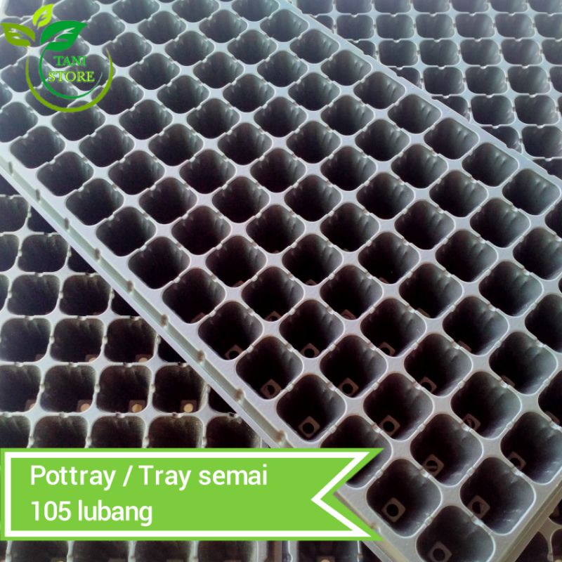Jual Pot tray_Tray semai 105 hole/lubang_Cocok untuk bibit cabai ...