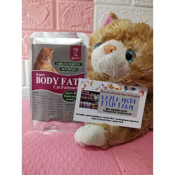 Jual Body Fat Cat Fattener Vitamin Penggemuk Kucing 50gr | Shopee Indonesia